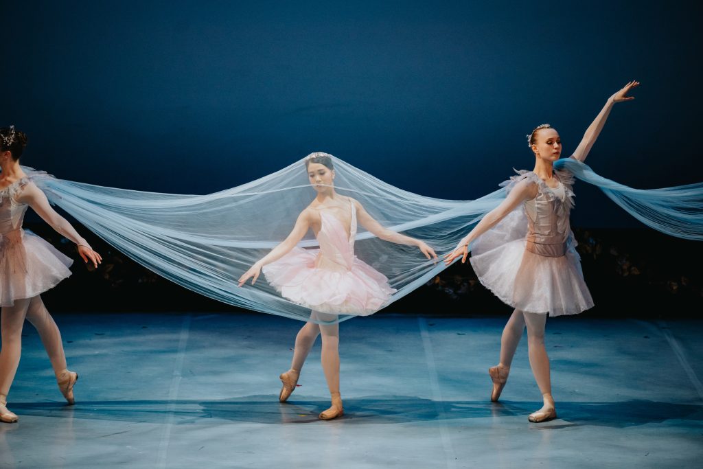 La Belle au bois dormant : un spectacle de ballet professionnel à Saint ...