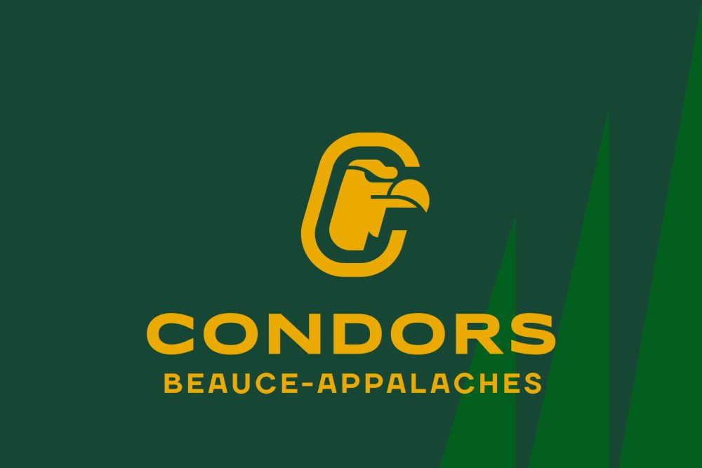 Les Condors regarnissent leur banque d'espoirs - L’Éclaireur Progrès