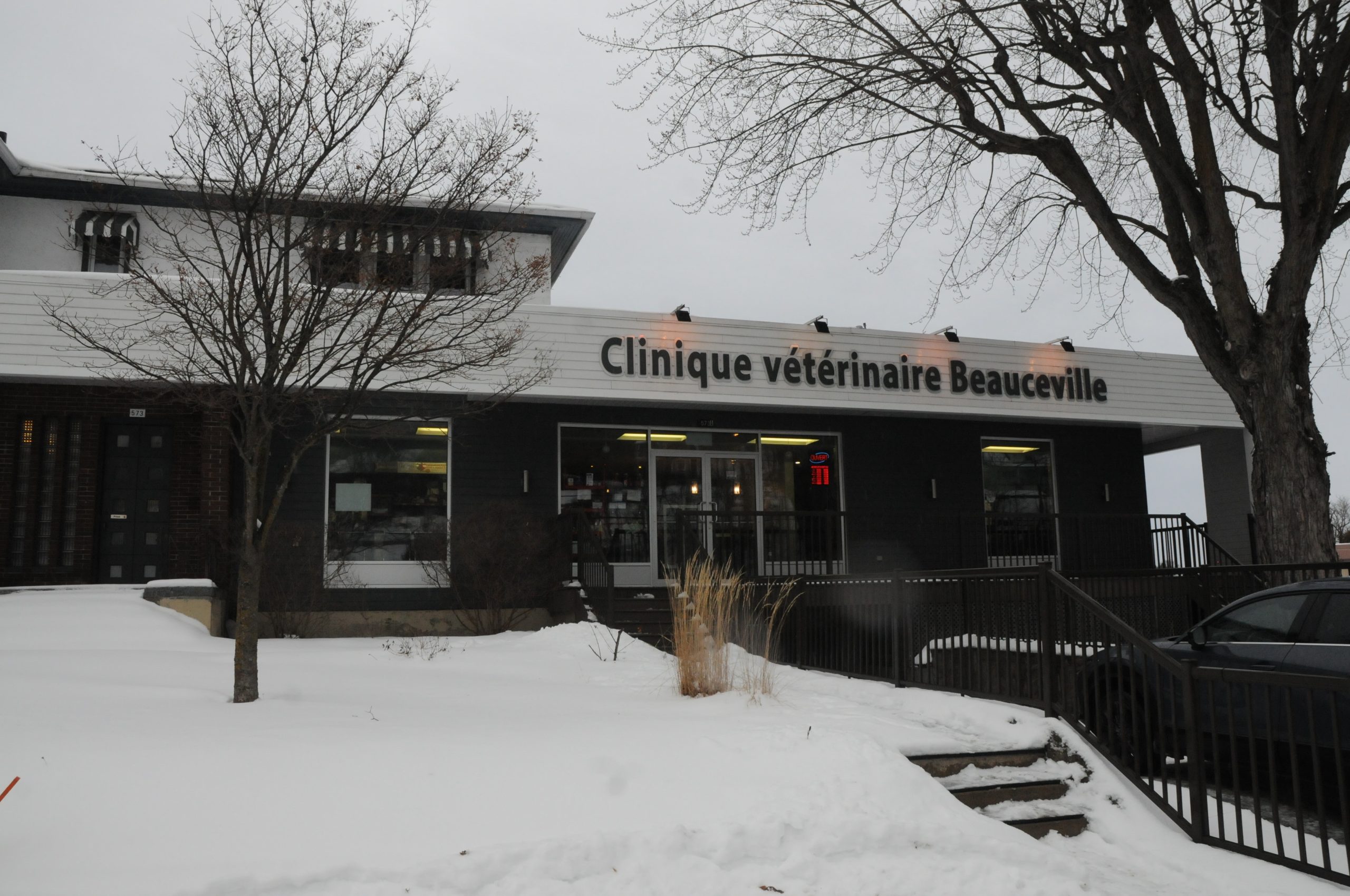 Beauceville perd sa clinique vétérinaire - L’Éclaireur Progrès