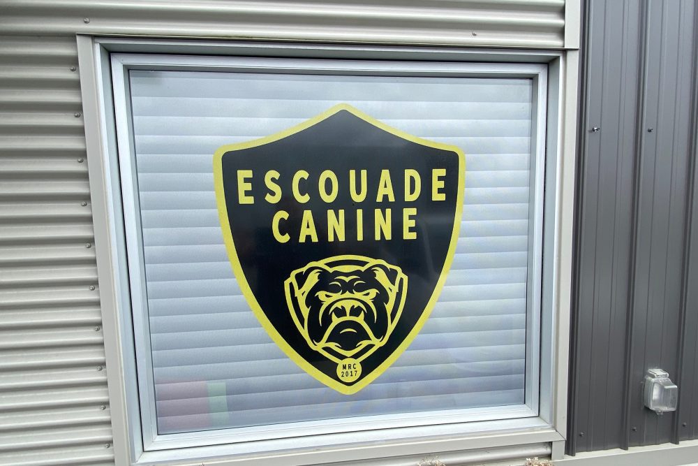 Santé et bien-être animal : lourdes condamnations en Chaudière ...